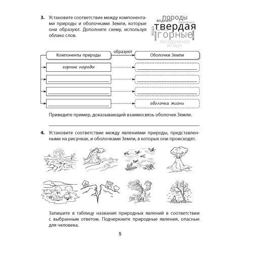 Человек и мир. 5 класс. Рабочая тетрадь - купить книгу в Минске в ...